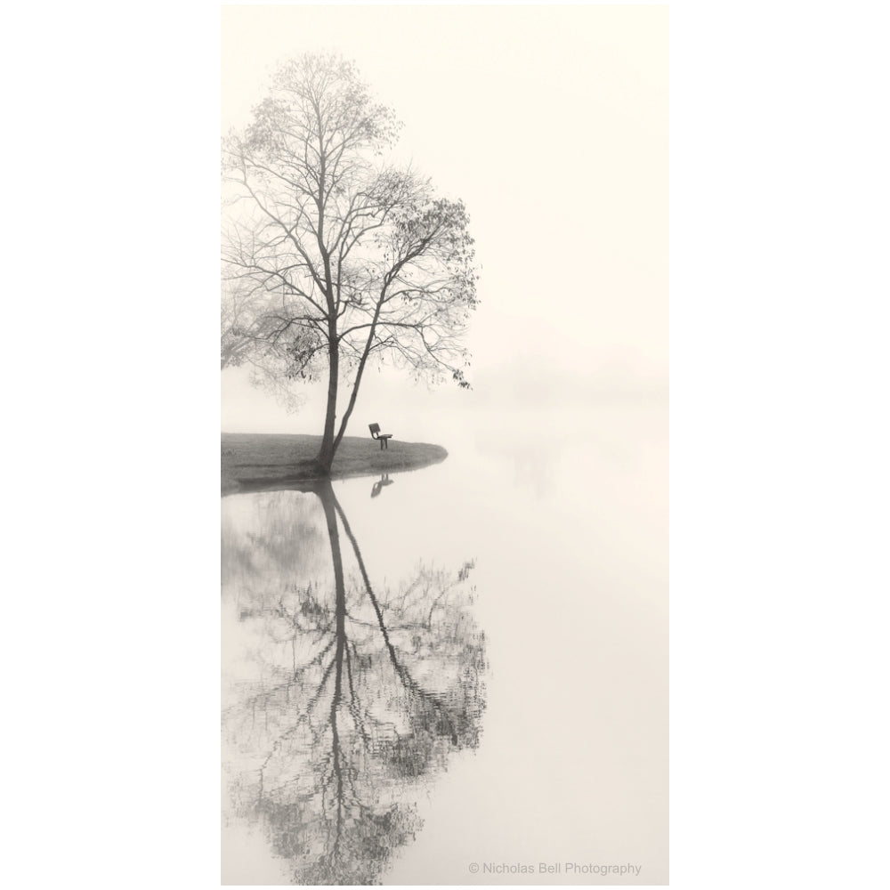 Tranquil Morning original photography print, landscape, lake house art ...